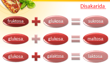 Karbohidrat, Lemak dan Protein – Blog Wiwik Harsiwi